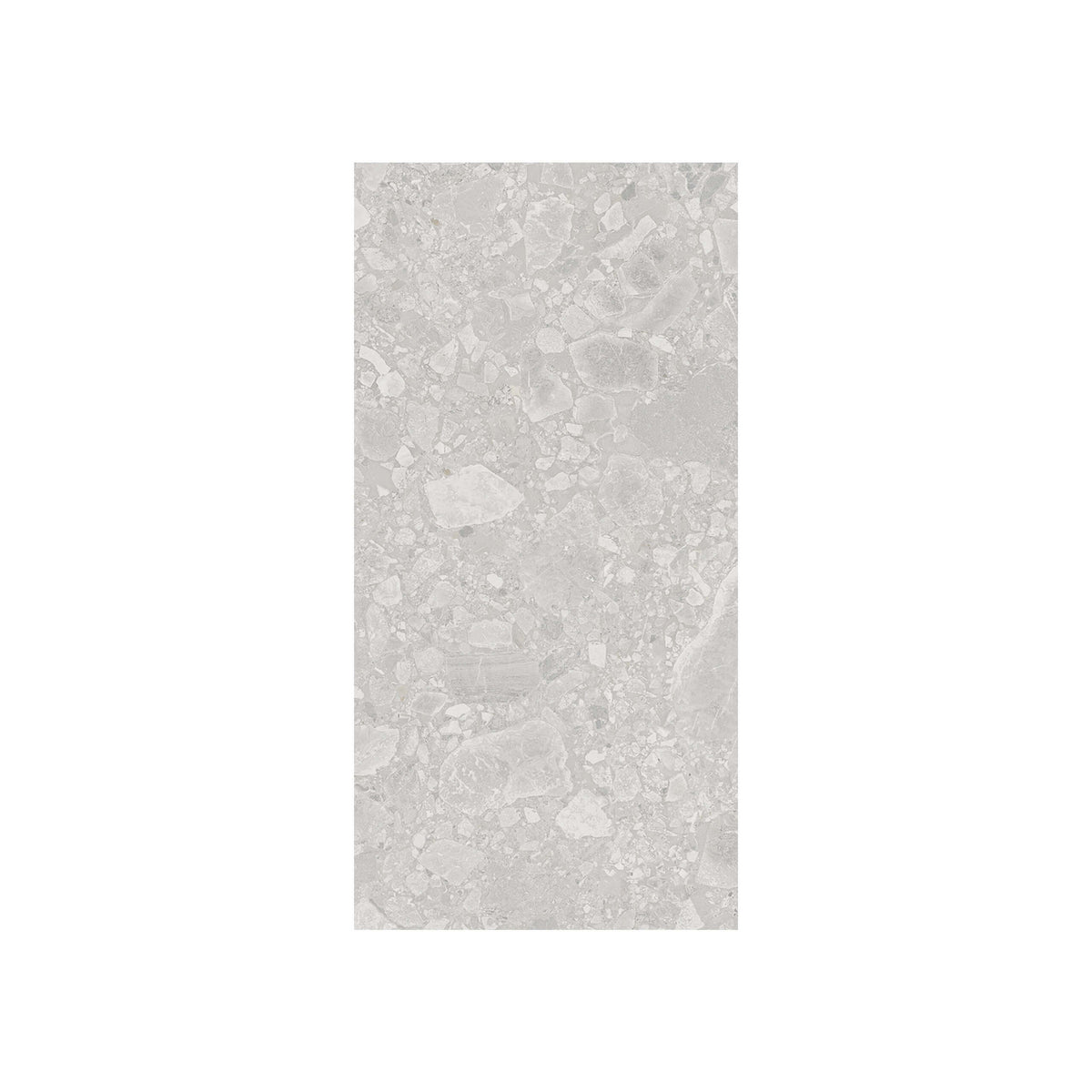 Studio Terrazzo Matt 600x300 Grey