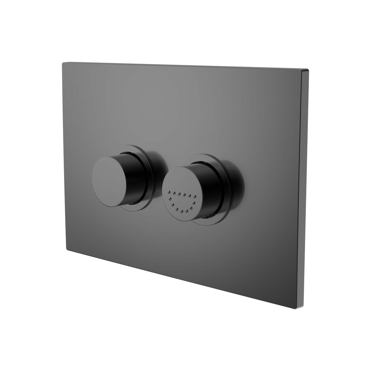 Nero Raised Disabled Care Pneumatic Flush Buttons Plate Dda Compliant