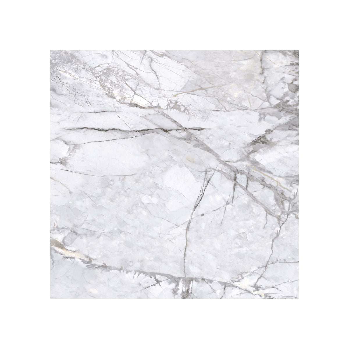 Elite Marble 600x600 Matt Invisible Grigio