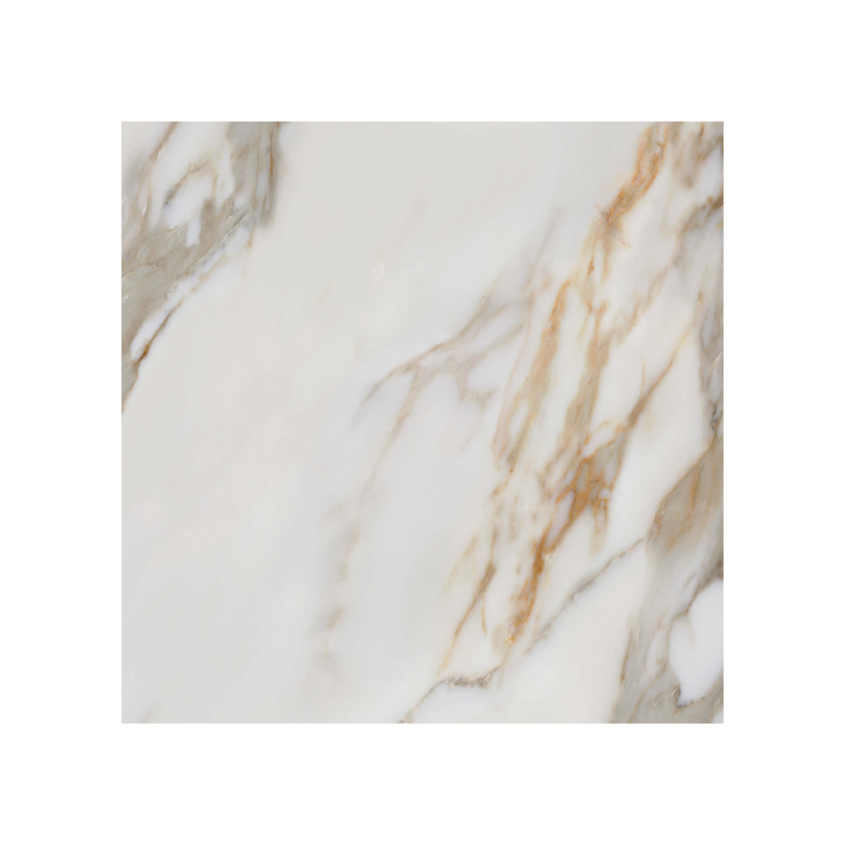 Elite Marble 600x600 Matt Calacatta Macchia Marble Look Rectified ...
