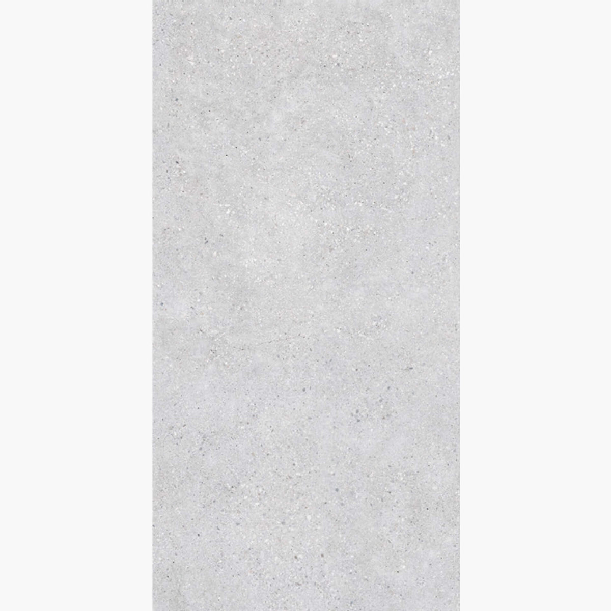 Stone Arena 1200x600 Matt Light Grey